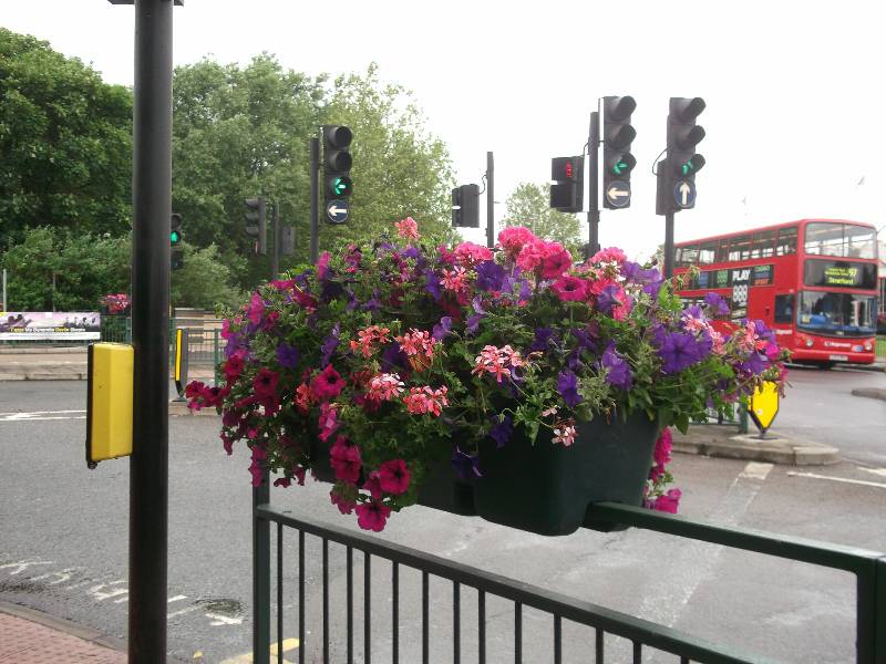London buses one bus at a time: the return: The Number 357 Route