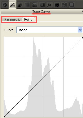 camera raw -curves ~ போட்டோஷாப் கல்வி