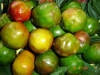 Aserrí se prepara para su VII Feria Nacional de Jocote