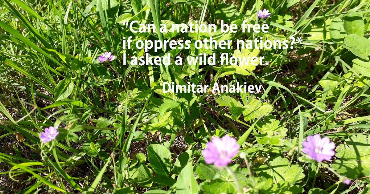 Kamesan Haiku 亀さん 俳句 Blog: FOUR POLITICAL HAIKU FOR THERESA SMALEC