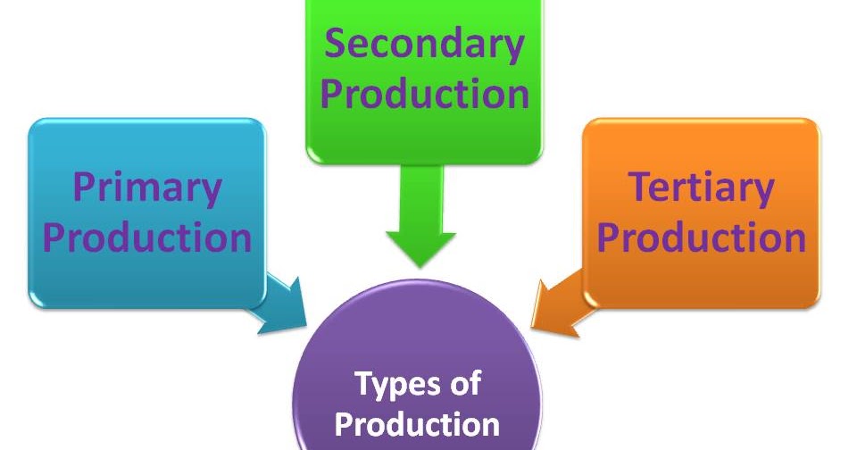 Types of Production ~ Economics