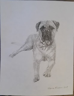 Art by Katie Nielsen: 8" x 10" Pencil Sketch - Edgar