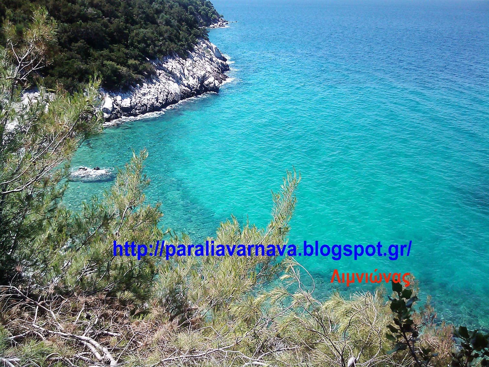 ΠΑΡΑΛΙΑ ΒΑΡΝΑΒΑ: ΛΙΜΝΙΩΝΑΣ ΒΑΡΝΑΒΑ.. Ενας αγνωστος παράδεισος...