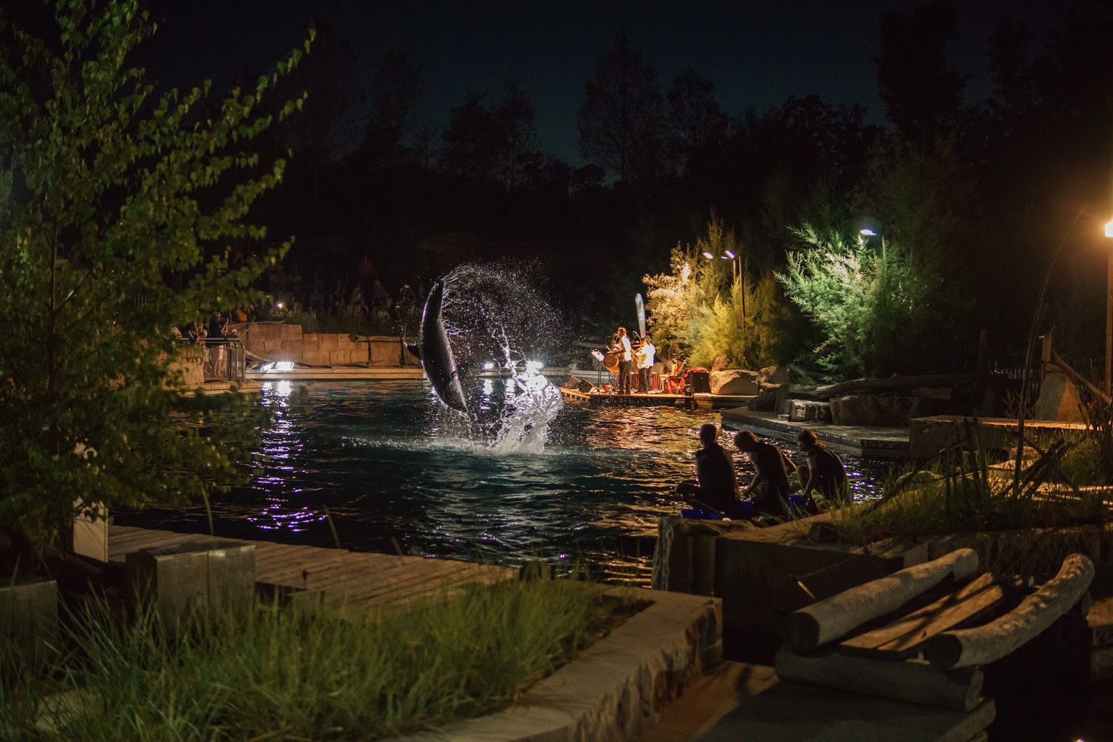 ARU: Wohlklänge für den Artenschutz/Nürnberg 2017 (Fotos: Mathias Hofer ...