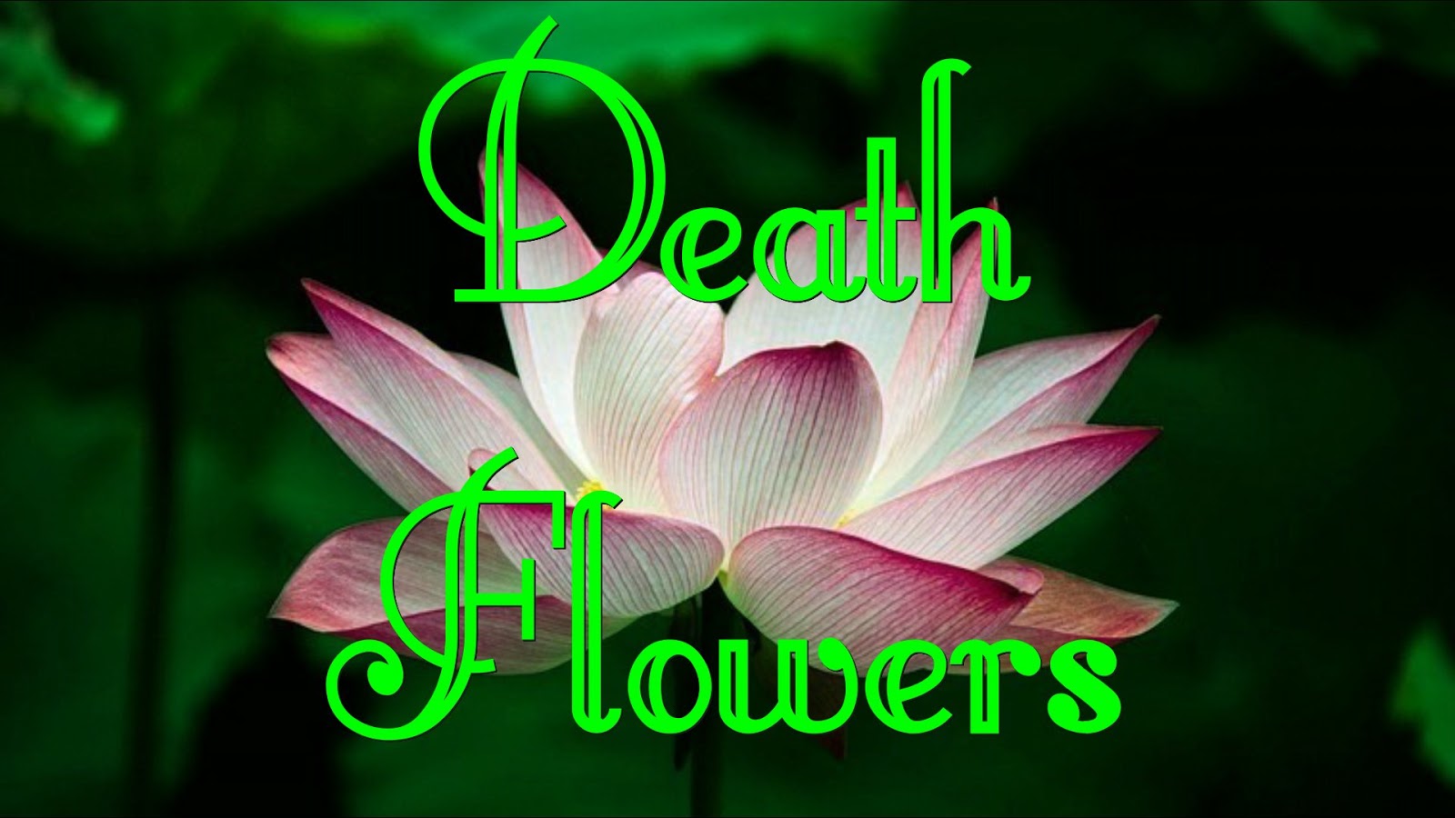 JimFear138 Audio Productions: Death Flowers - Part 1 on Steemit!