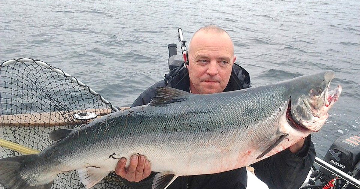 Team Propell fiske: Kjempelaks i Trondheimsfjorden