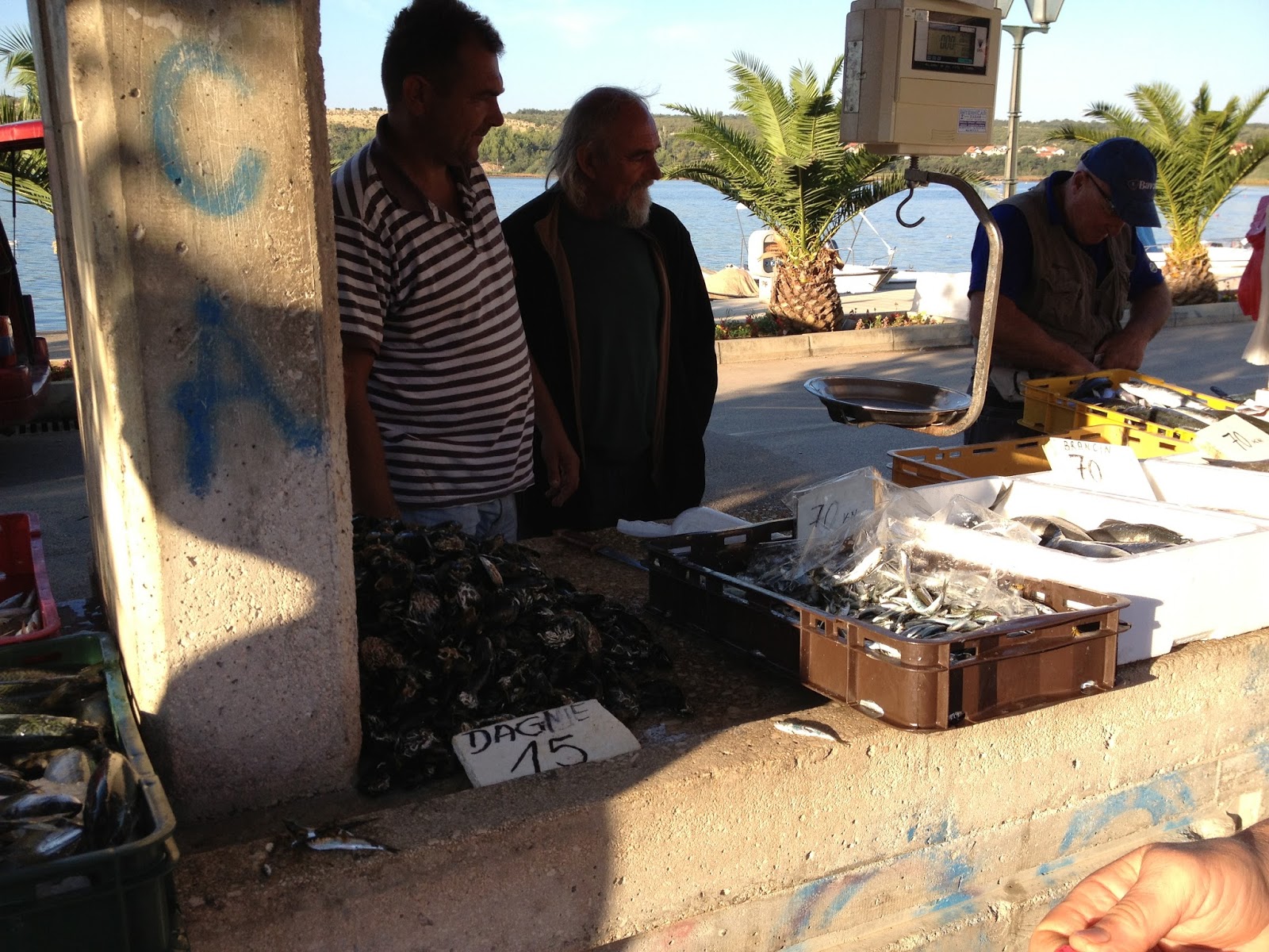 Barbara DuBois Hageman, Artist