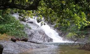 Kumaar Holidays : ATTRACTIVE ARIPPA