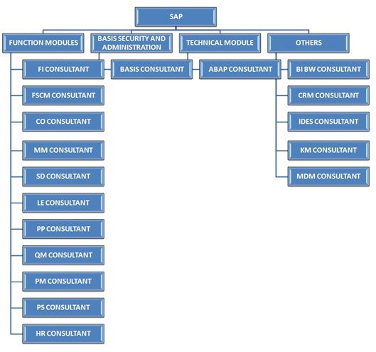 SAP Implementation Project, Rollout Project, Supporting Project ...