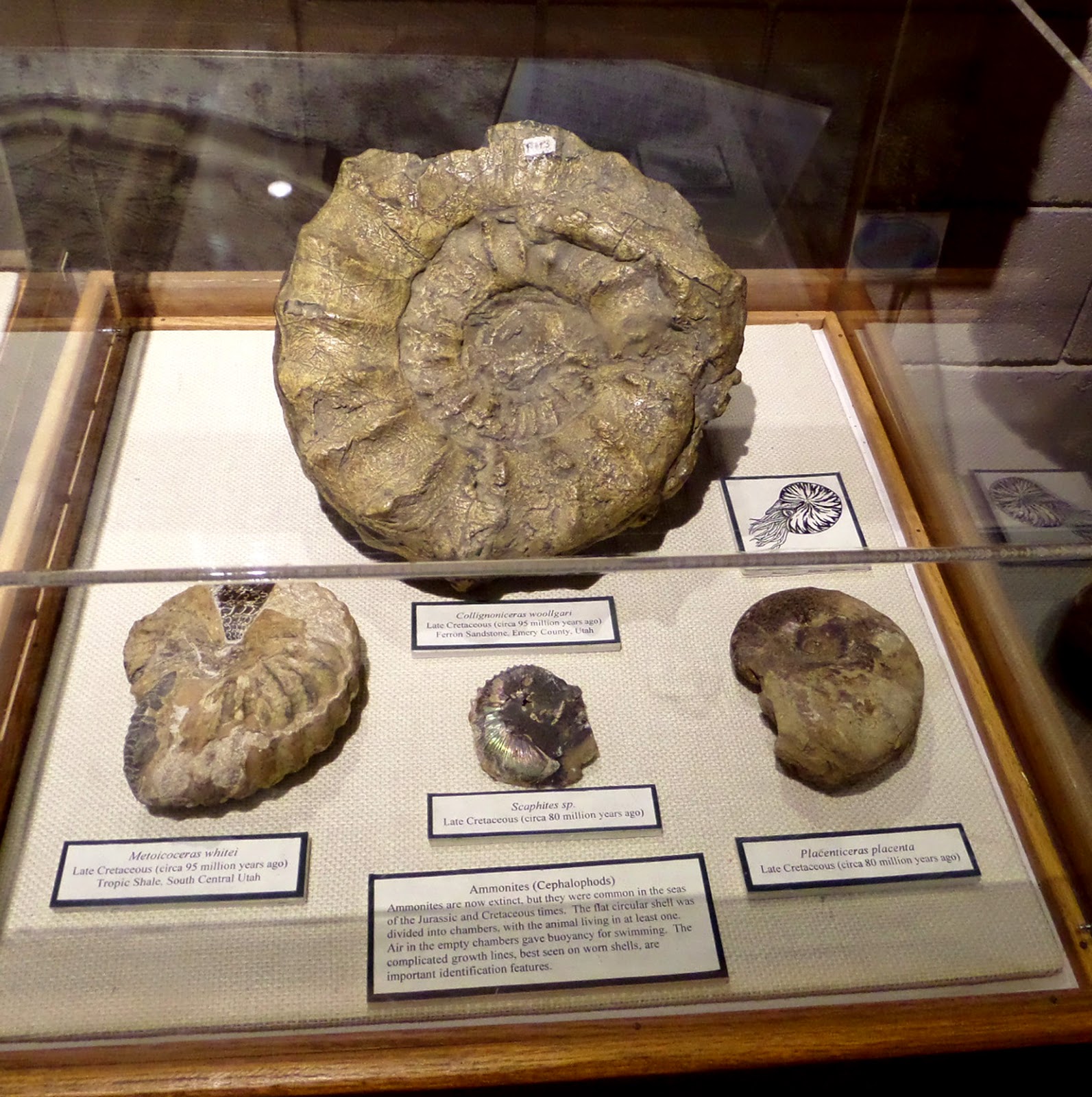 Cummings...and goings...: Duchesne, Utah to Thayne, WY – August 4-10, 2014