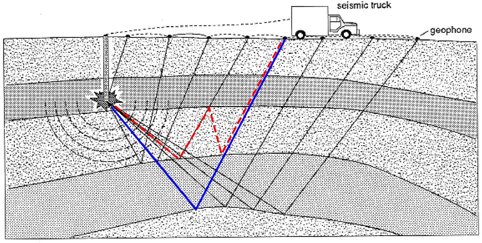 Adaptive seismic multiple removal with complex wavelet (paper)