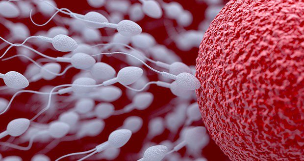 Les 7 signes de l’ovulation que vous ne connaissez pas - Hors de vos pensés