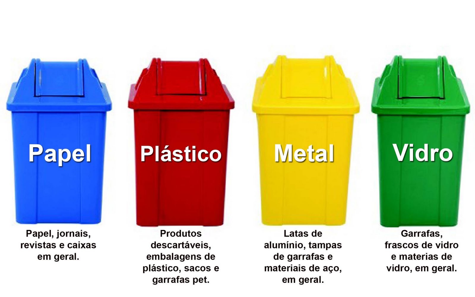 A Importância da Separação do Lixo Entre Recicláveis e Orgânicos