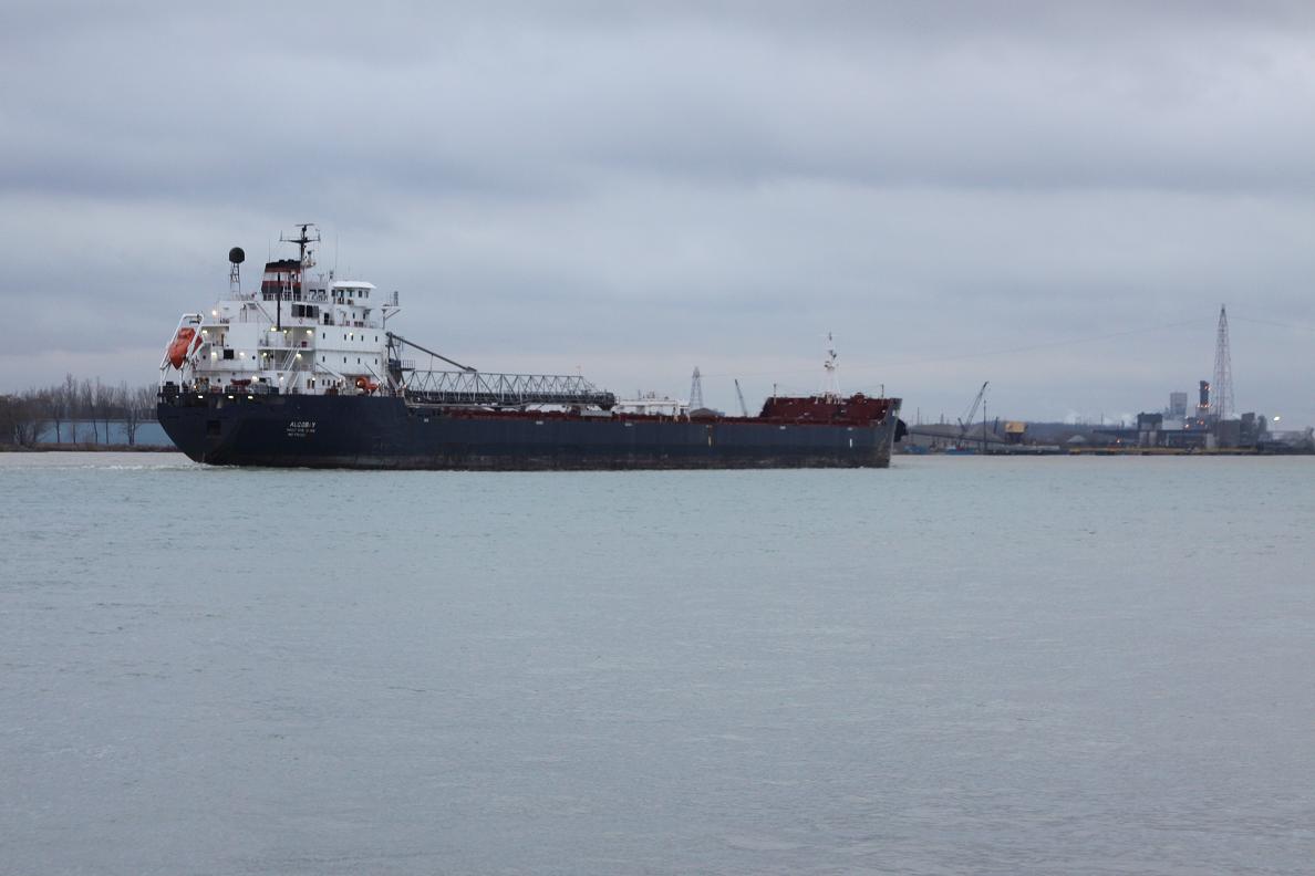 Michigan Exposures: The Algobay