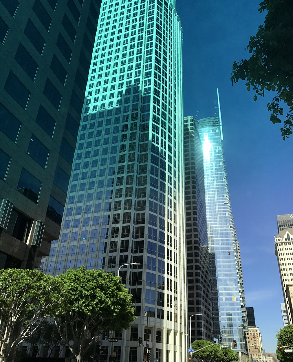 forms traced by light: DTLA