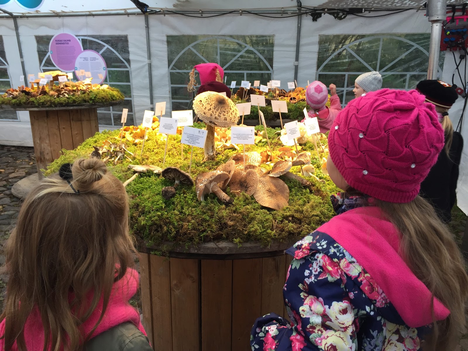 Margiti klassi blogi: Mis meeldis Loodusmuuseumis kõige rohkem?