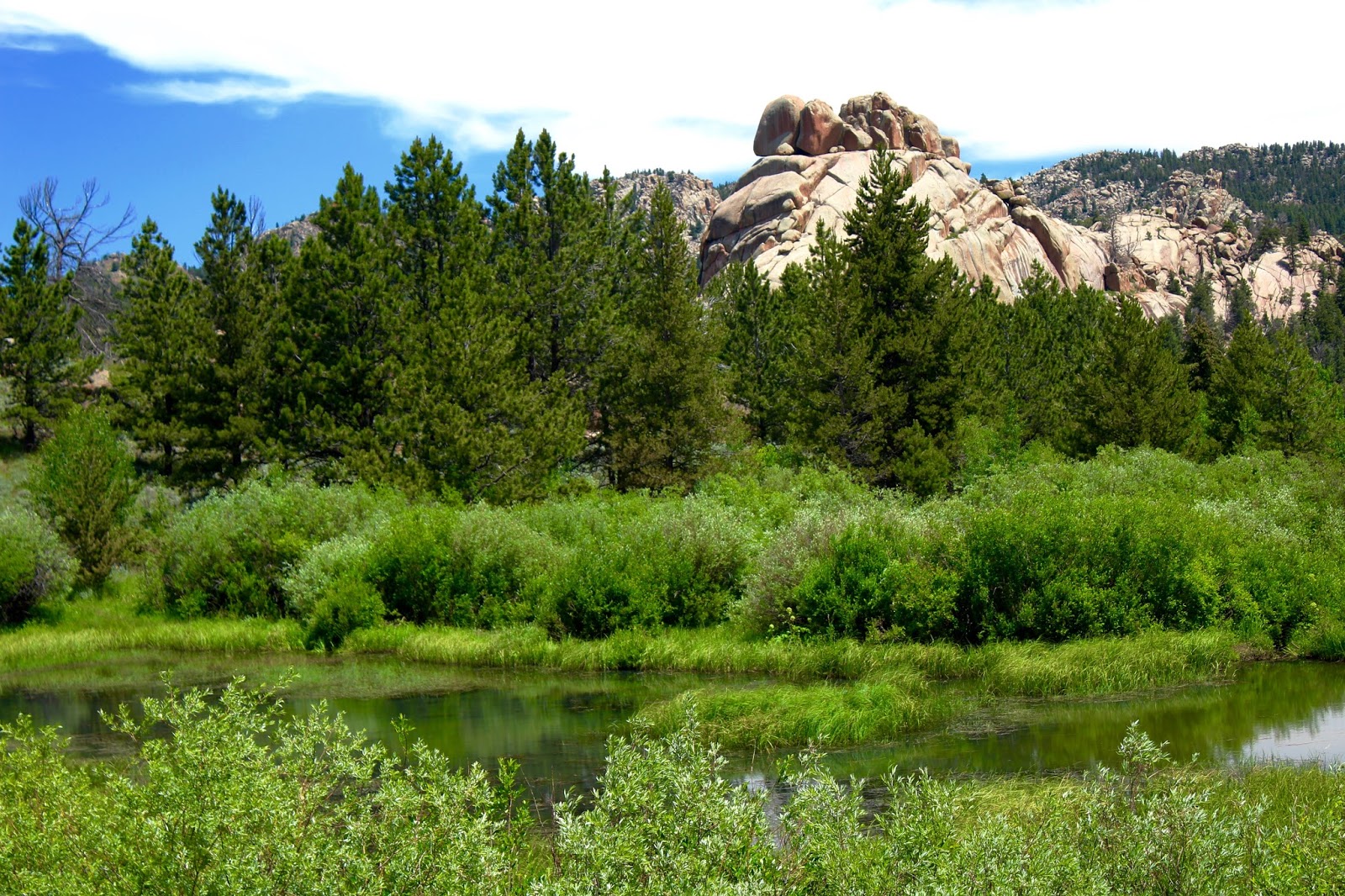 Wandering w/ Serenity: Turtle Rock Hike