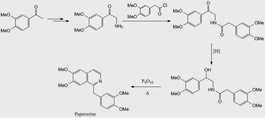 Synthesis of Heteroaromatic Compounds: Indoles and 6-Membered Rings
