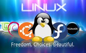 Linux: SISTEMA OPERATIVO LINUX