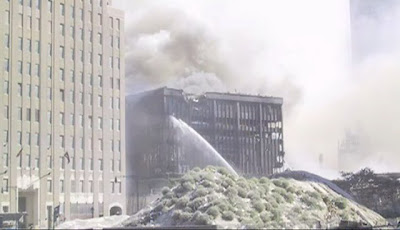 What Newton has to say about the collapse of WTC