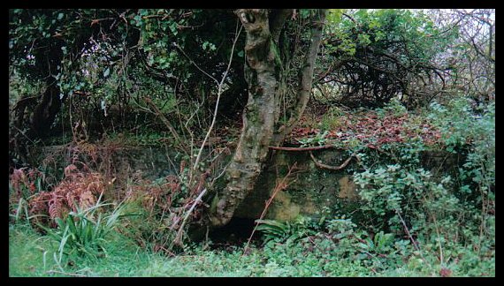 Past Remains in South-West Britain: Axe Valley WW2 Defences - Taunton ...