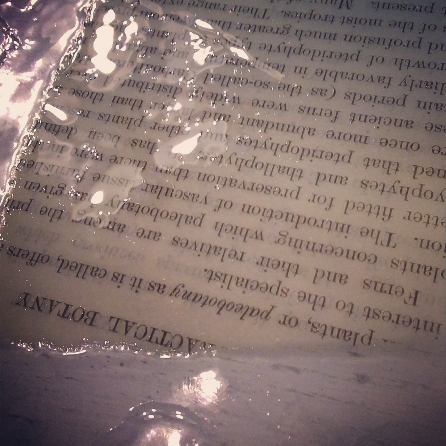 Amazing Casting Products: Books Books Everywhere! Resin Paper ...