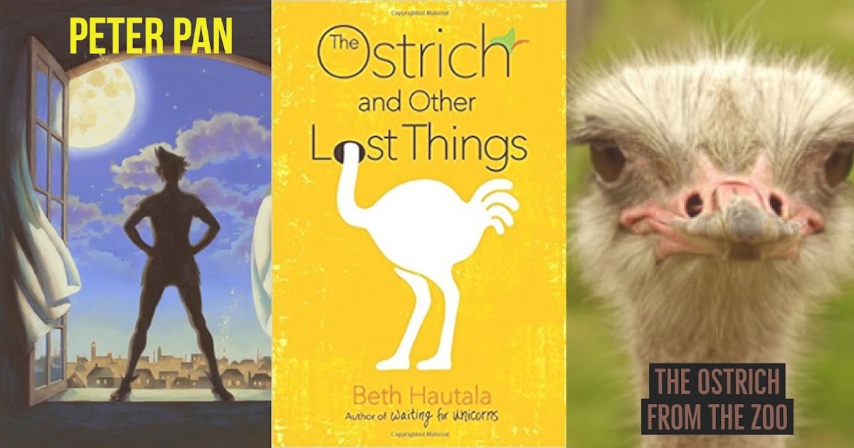 23 Books {A Bottomless Book Bag}: The Ostrich and Other Lost Things by ...