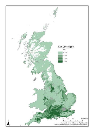 A news blog from the CEH News Team: Mapping the distribution of Ash ...