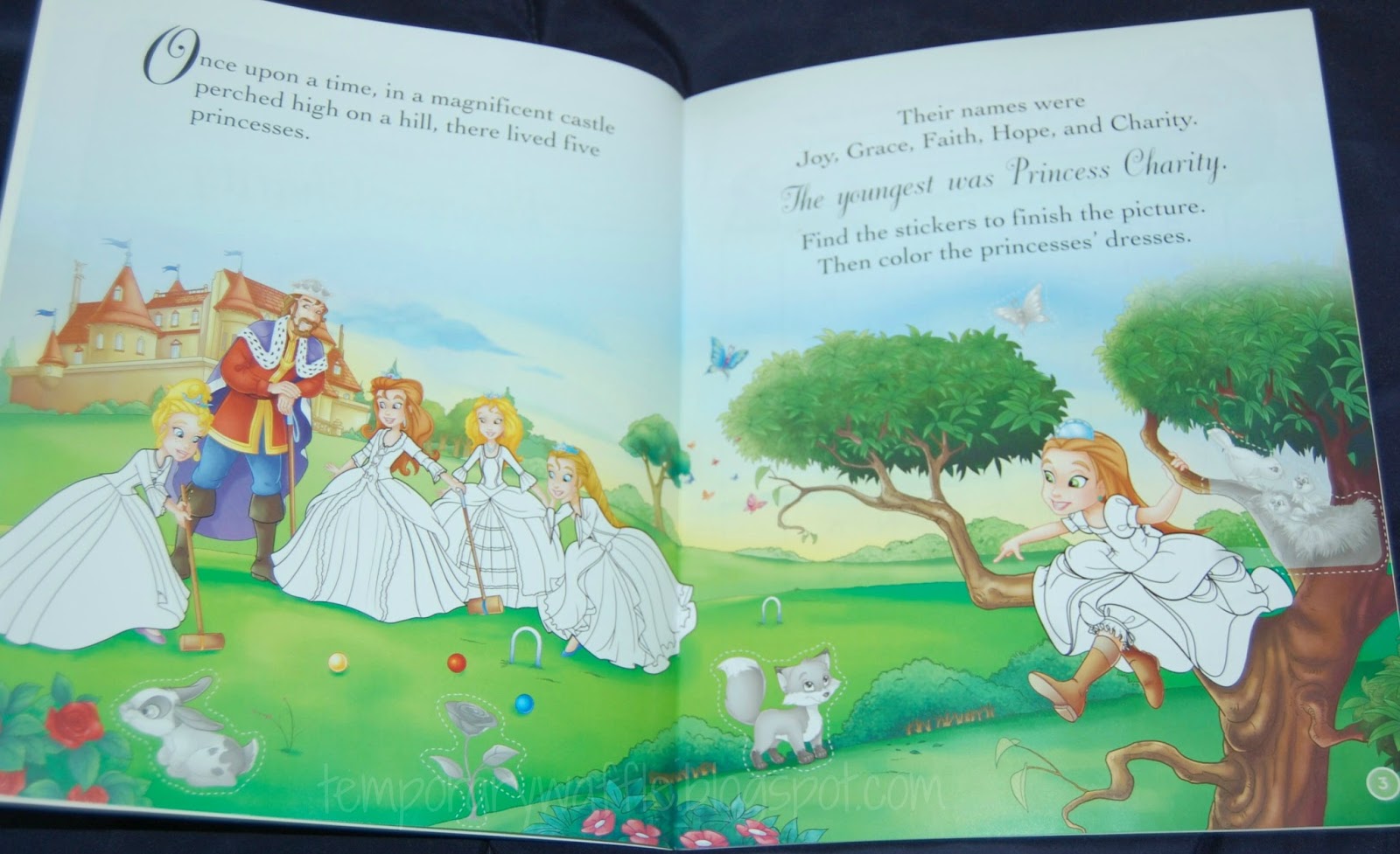 Temporary Waffle: Princess Charity Sticker and Activity Book