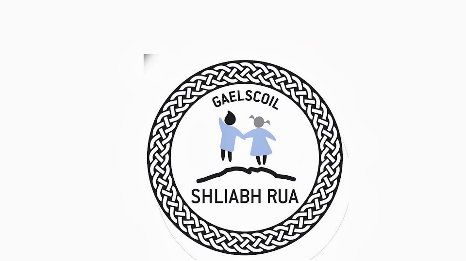 Gaelscoil Shliabh Rua: June 2013