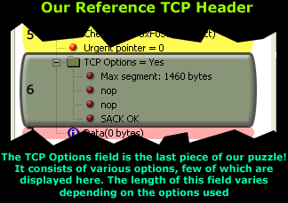 Something I know...: Analysing TCP Header Options