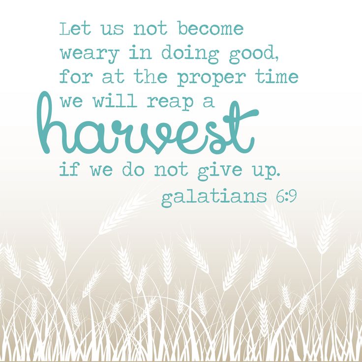 Faith Moments Devotional: Steadfast and Unmovable