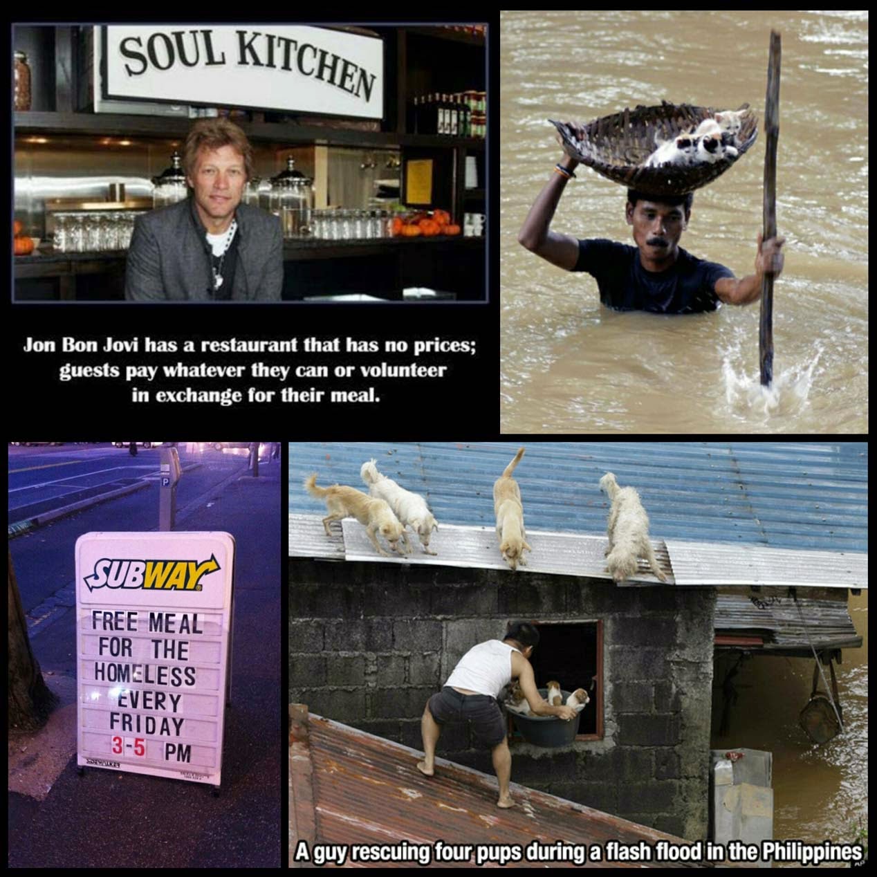 The World is Not a Bad Place #1000Speak