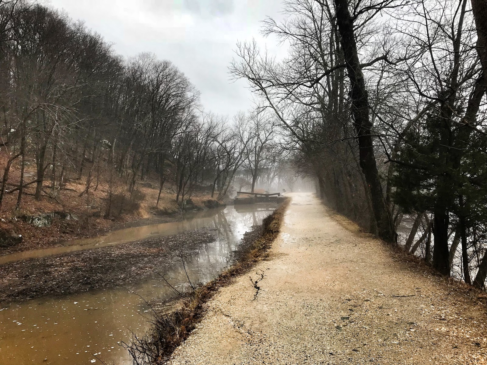 Terrierman's Daily Dose: The Mules and Canal Boats of an Earlier Era