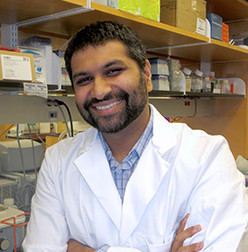 Sandwalk: A genetics professor who rejects junk DNA