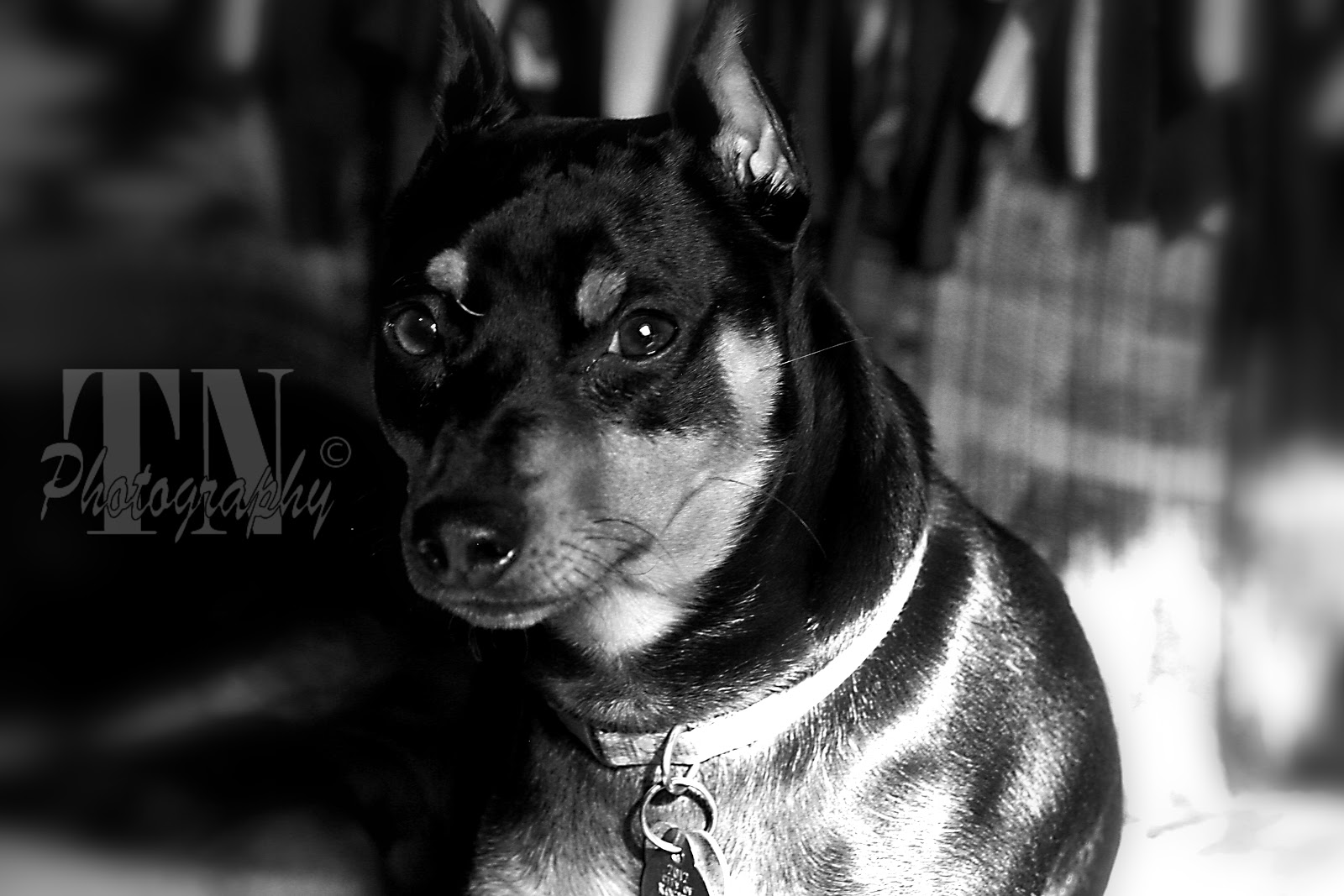 Travis Nance Photography: A mild moment of boredom....