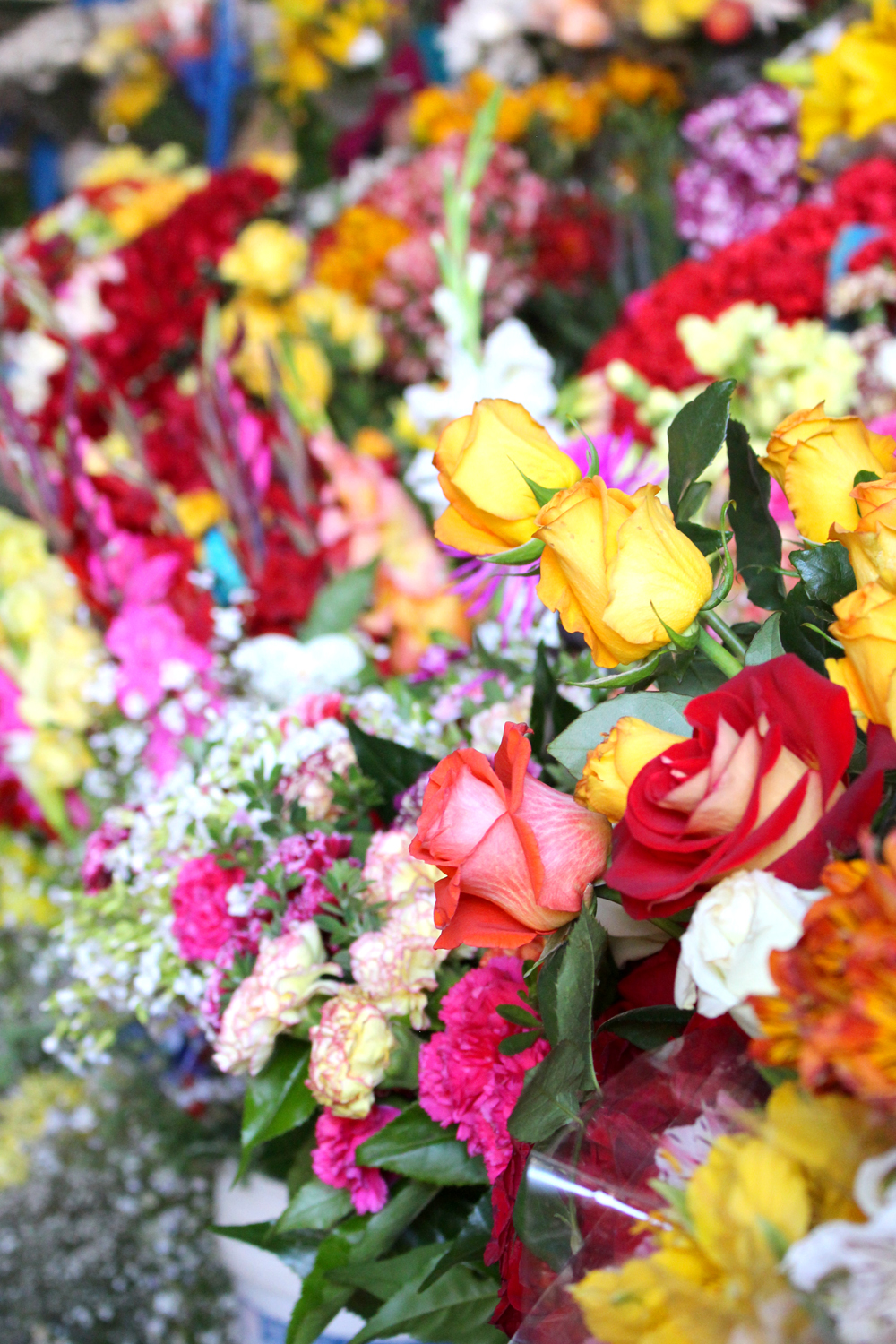 Cusco, Peru | Emma Louise Layla