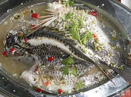 Veg Fish Farm Thai Restaurant @ Hulu Langat, Ampang | Elephants & Mangoes