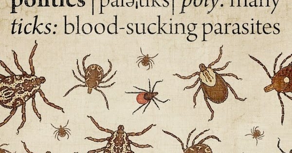 Terrierman's Daily Dose: It's Poly-Tick Season