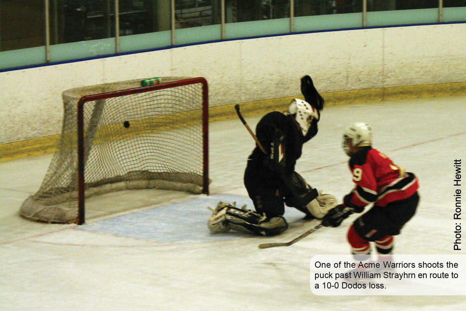 Dodos Nation: Baseball Hot, Hockey, Er...Uh...Not...