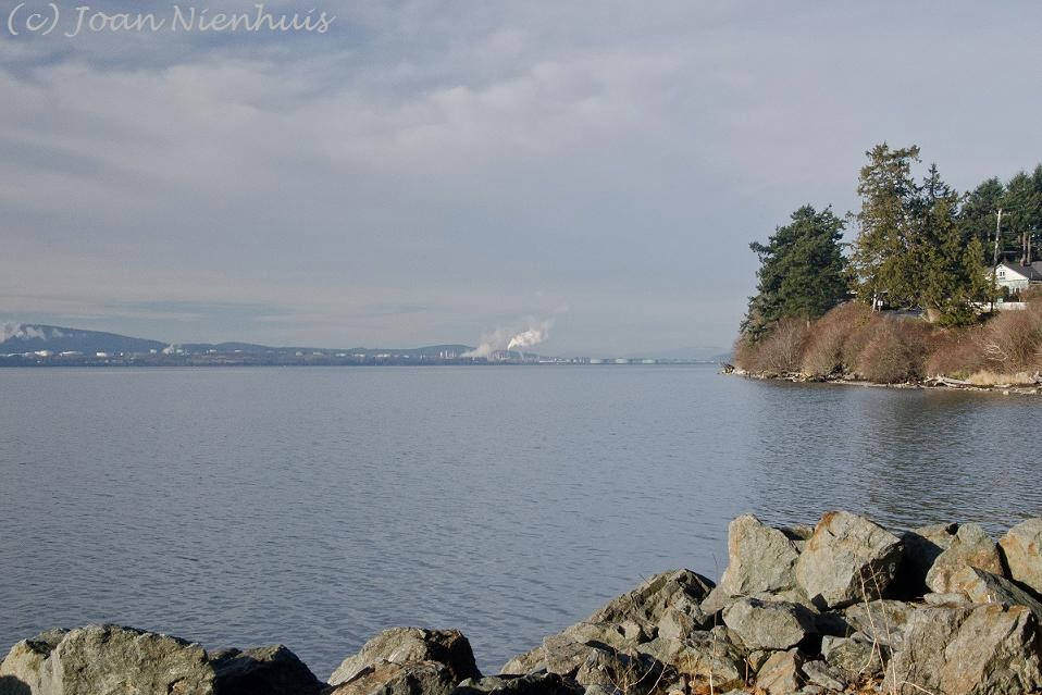 Pacific Northwest Photography: Padilla Bay Shore Trail