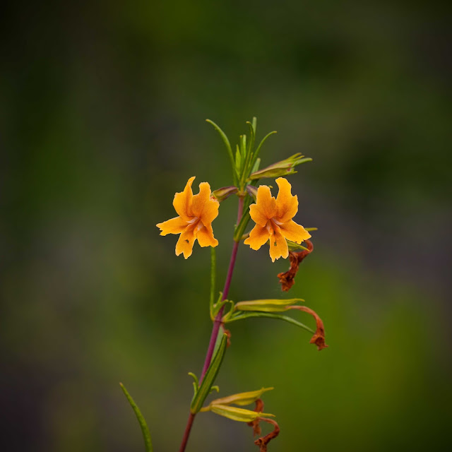 Spare Parts and Pics: Oil Field Property #2