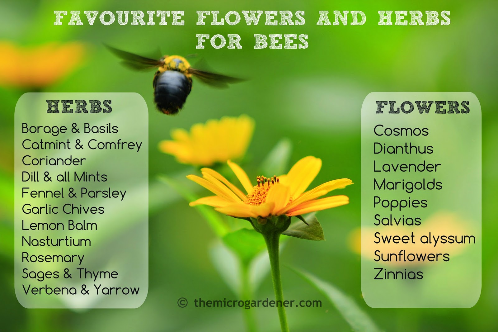 Eudlo Seed Savers Group