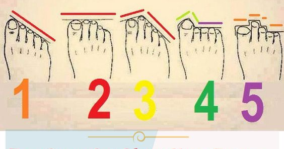 TOES SAY A LOT ABOUT YOUR FUTURE, AND PERSONALITY: SEE HOW THE LENGTH ...