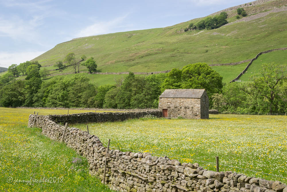 Saltaire Daily Photo: Swaledale's stone barns