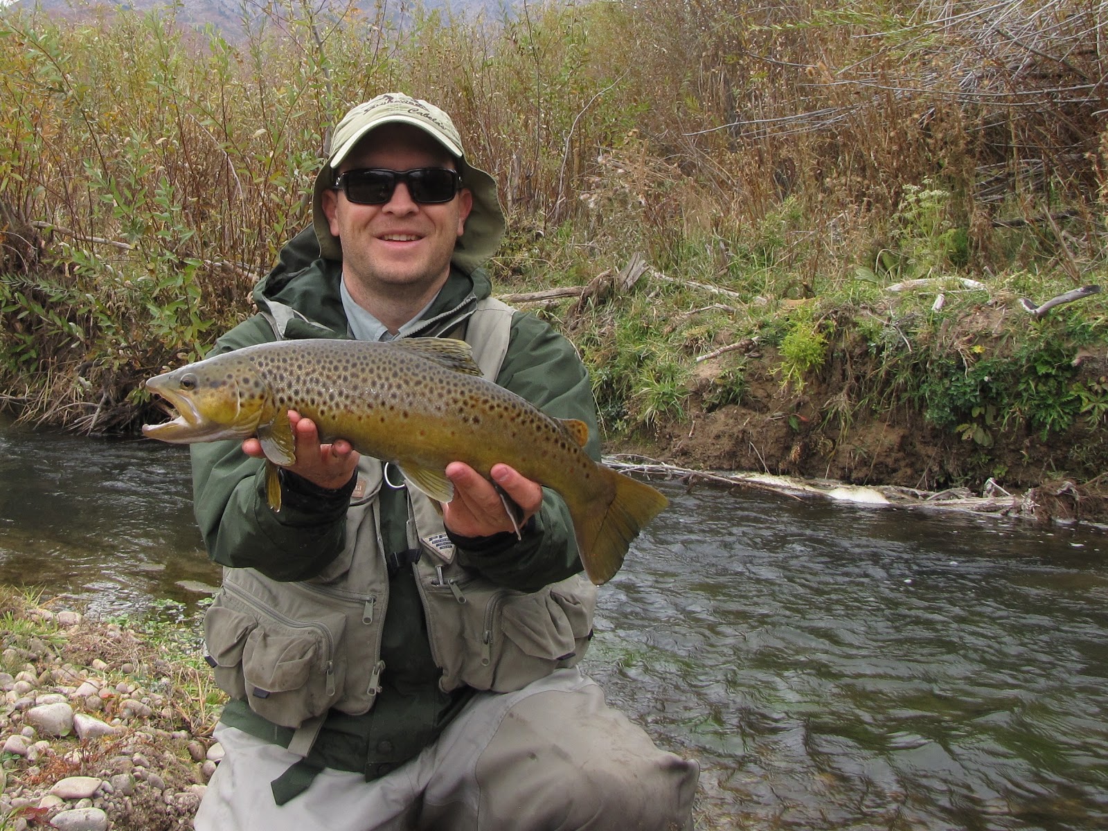 Ricks Reel Adventures: Brown Trout Anyone?