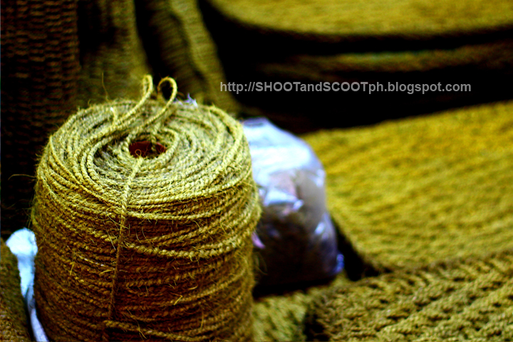 SHOOT and SCOOT PH: 10th National Coconut Festival