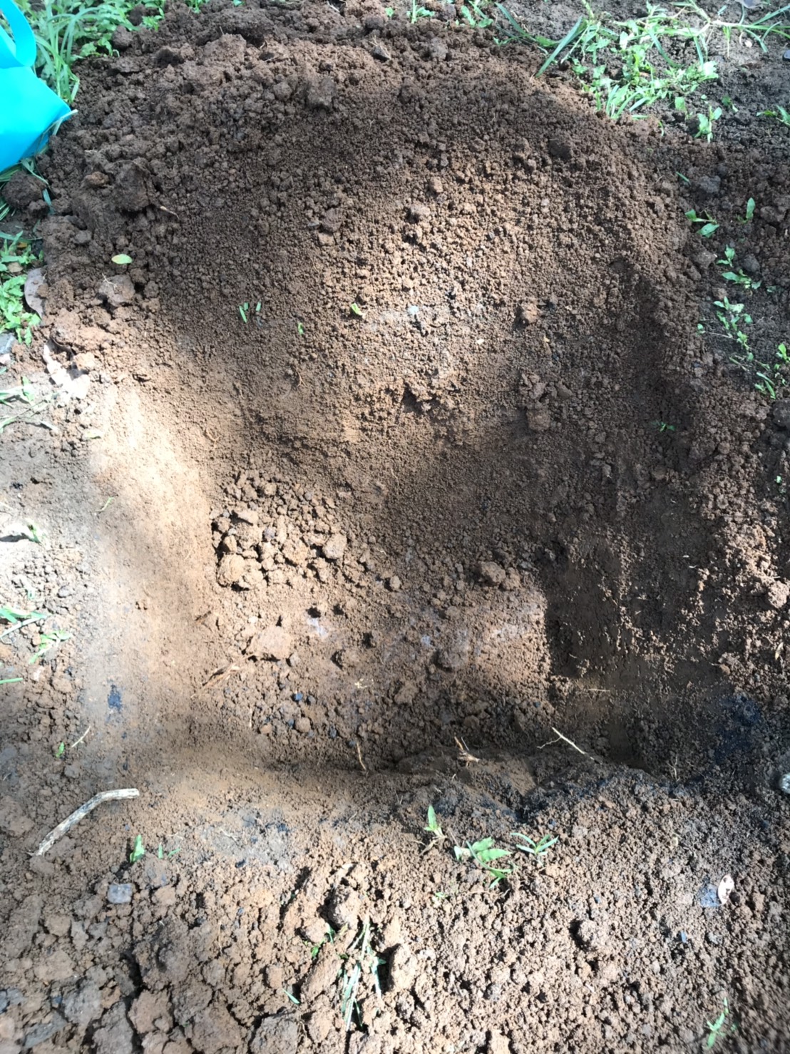 Metode Sampling Hewan Tanah