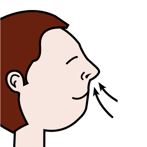 Ejercicios de respiración | Home Environment