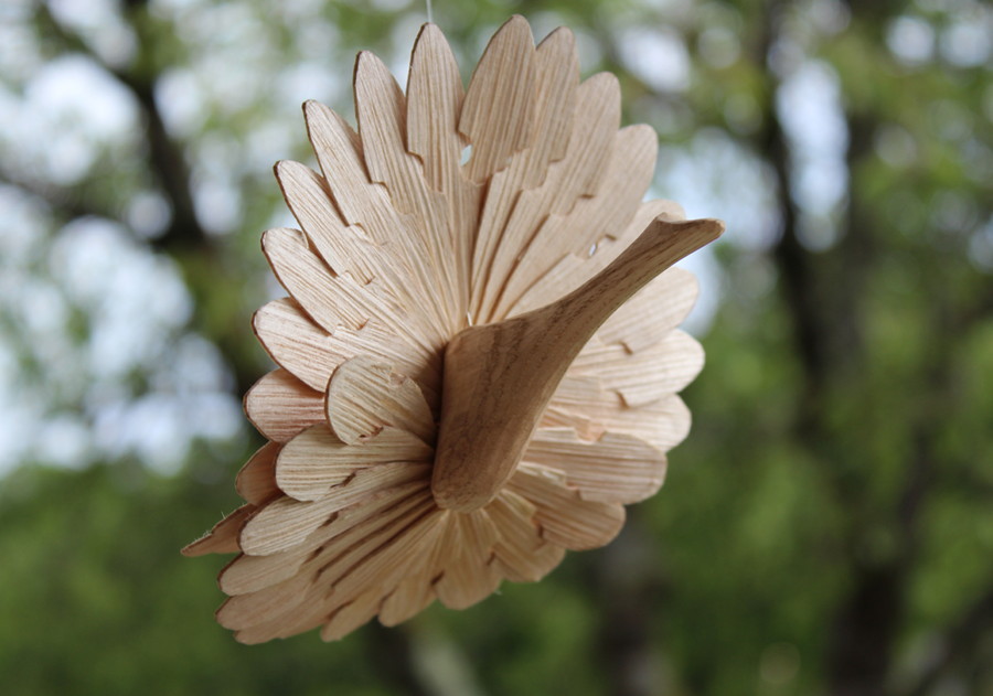 Sean Hellman: New fan birds